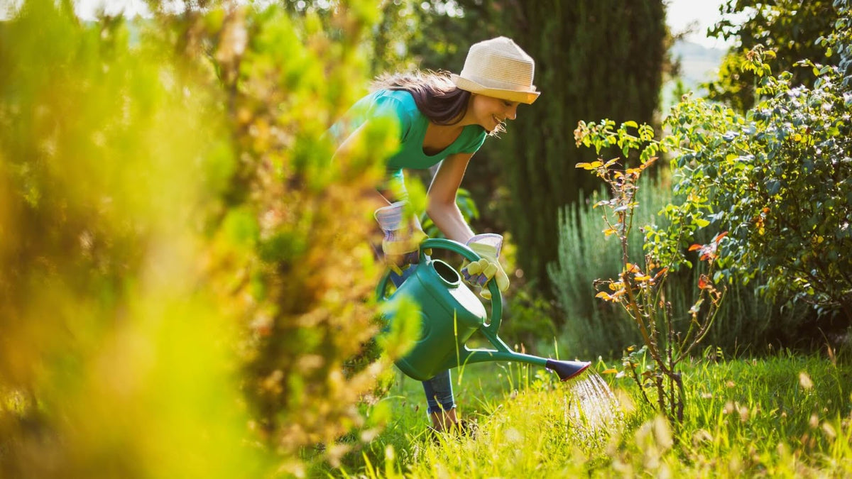Készítsd fel kerted egy színes nyárra! Tippek és tereprendezési ötlete ...